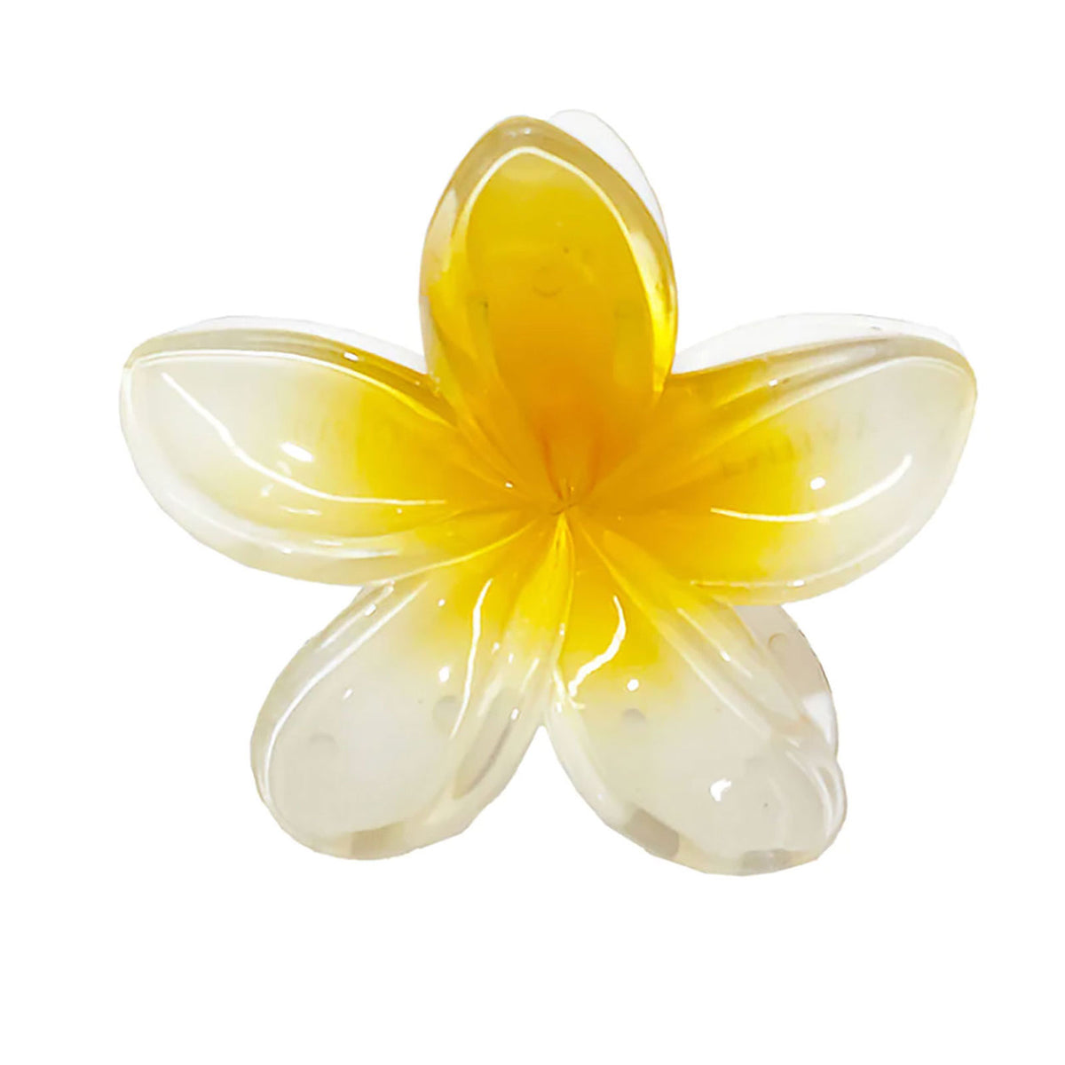 Hair Accessories Emi Jay Super Bloom Clip in Coconut - Frankie's on the ...